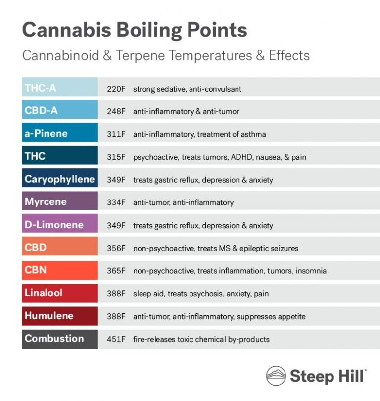 Breakdown of Cannabinoids and Terpenes – A complete guide to CBD and ...